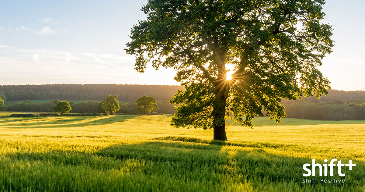 Harnessing the Power of Transformative Feedback